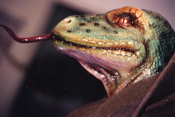 Super Mario Bros. The Movie Archive -- Actor Profiles